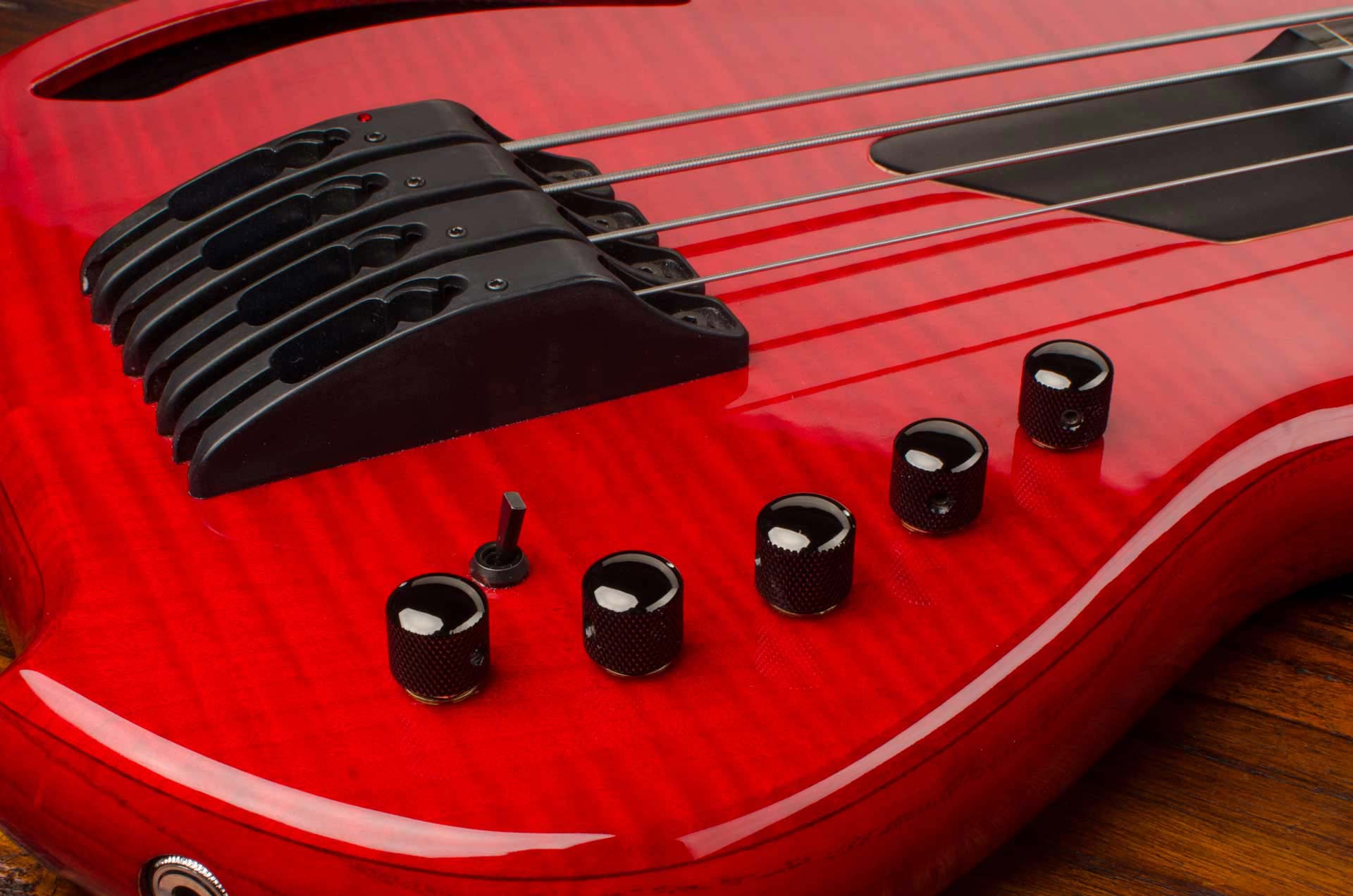 LightWave Bass Pickup System - See The Light